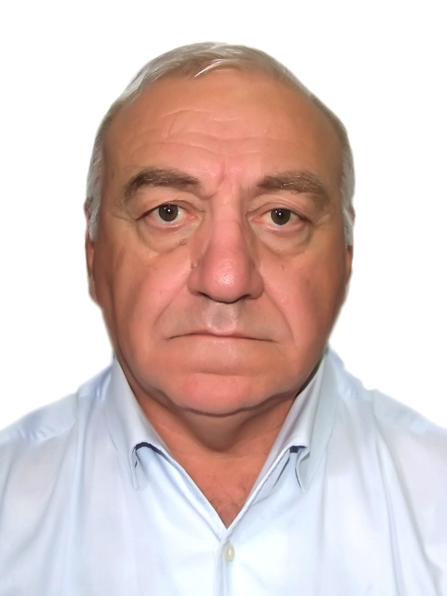 დავით ლოლუა სტუ ის საინფორმაციო ბაზა